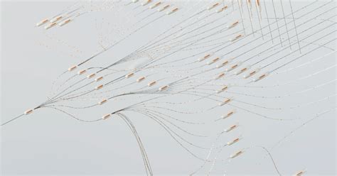 How Effective With Martech Vendor Ai Algorithms Be Attribution Gal