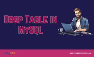 Create MySQL Table » Programming Funda