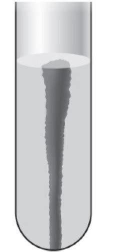 Exercise 11 Flashcards Quizlet