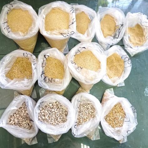 Different Grain Sizes Of The Measured Samples Download Scientific Diagram