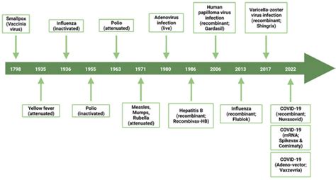 Vaccination Strategies Based On Bacterial Self Assembling Proteins As
