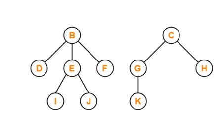 Tree Data Structure Algorithm Room