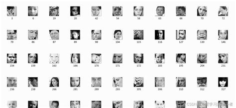 不同微表情识别（python编程，局部二值模式 Lbp 特征提取，再利用cnn模型和cnn Svm模型进行训练识别，模型也可以用在其它图像分类