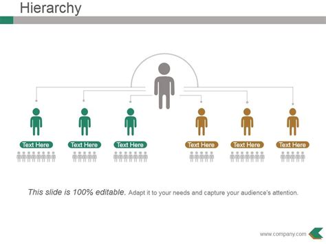 Hierarchy Ppt PowerPoint Presentation Slides Clipart