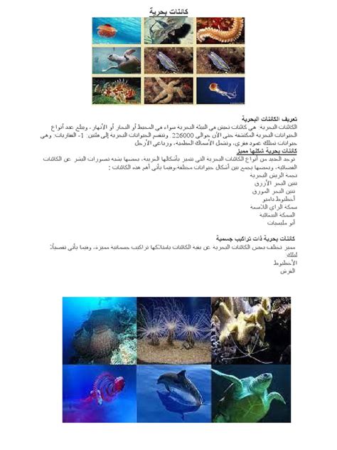 كائنات بحرية1 Pdf