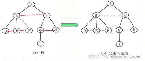 数据结构 第六章 二叉树与树 树和森林 怎么画二叉树对应的森林 csdn博客