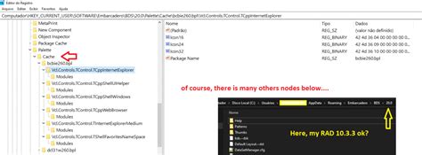 palette not showing anything delphi ide and apis delphi praxis [en]