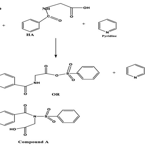 Chemical Structures Of Thiosemicarbazide Captopril Derivatives 2 7 23 Download Scientific