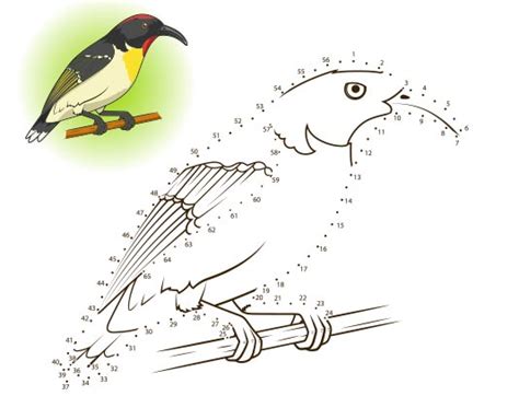 وکتور نقاشی پرنده کودکانه گرافیک با طعم تربچه طرح لایه باز