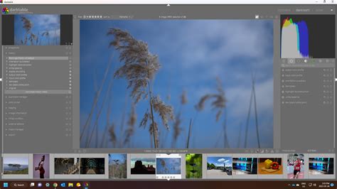 Magenta Cast In DNG File With A Certain Lens Darktable Discuss Pixls Us