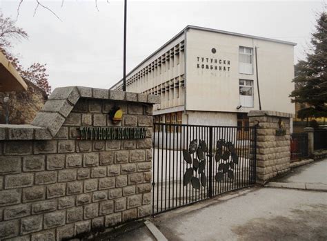 Како државниот Тутунски комбинат „нанижа“ профит од 2 7 милиони евра