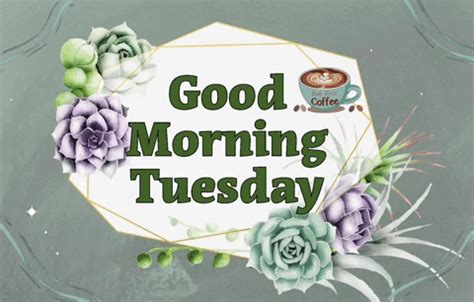 Tuesday Morning  Tuesday Morning Discover And Share S