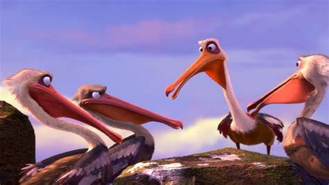 What Is The Name Of The Pelican In Finding Nemo