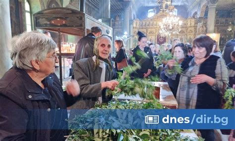 Коментари Цветница е Внесете върбова клонка в дома си за здраве