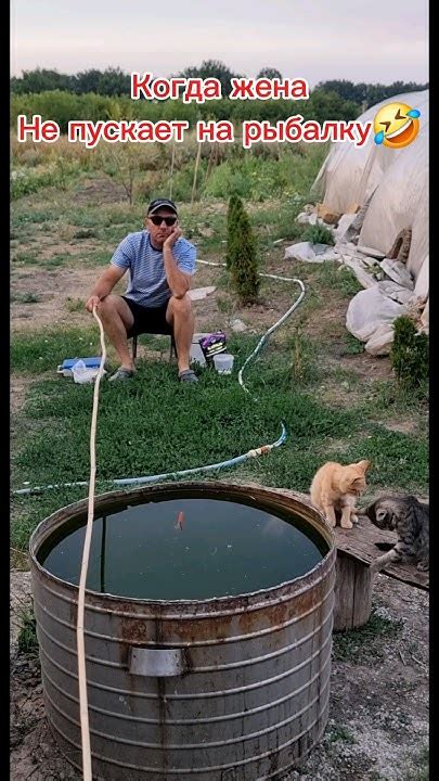 рыбалочка #ловлянаудочку #рыбалка #fishing #carp - YouTube