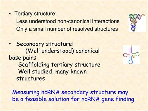 PPT C Omputational NcRNA Gene Finding Nc RNA Structure Prediction PowerPoint Presentation