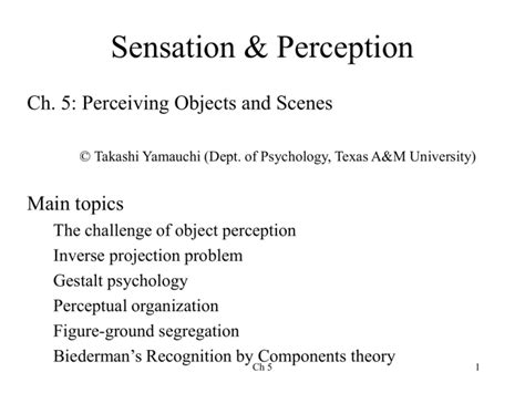 Ch 5 Perceiving Objects