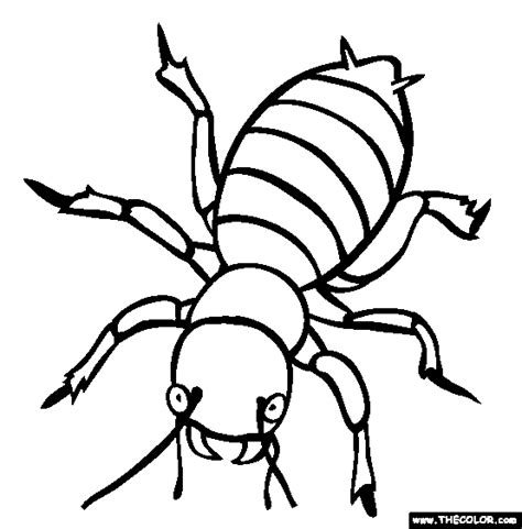 Bugs Outline ClipArt Best