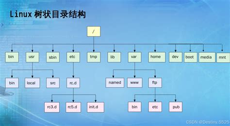 【数据结构】二叉树基础知识 Csdn博客