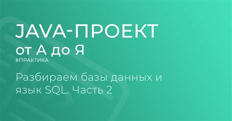 Разбираем базы данных и язык SQL Часть Java проект от А до Я