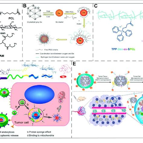 Examples Of Polymericpolymer Coated Nanoparticles And Micelles In