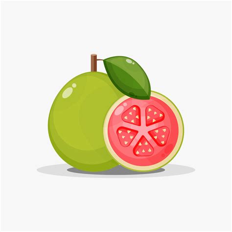Guayaba Y Rodajas De Guayaba 2147179 Vector En Vecteezy