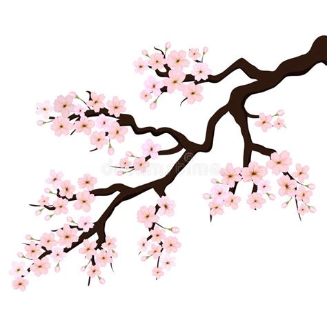 Japanese Cherry Blossom Symbol Cherry Blossom Sakura Icon Set Stock