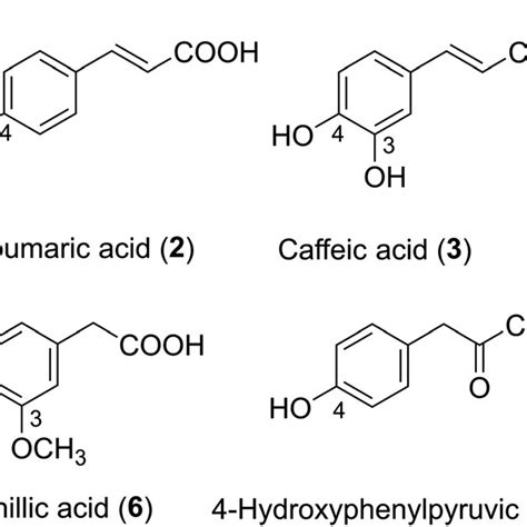 Structure Of Hydroxycinnamic Acid Derivatives Hca Download