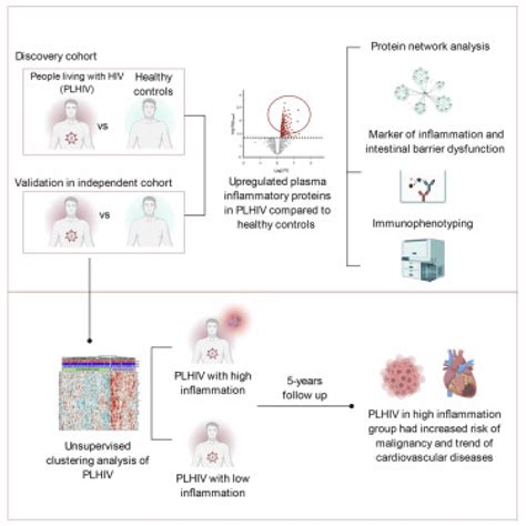 Targeted Plasma Proteomics Reveals Upregulation Of Distinct