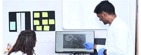 complex fluids lab