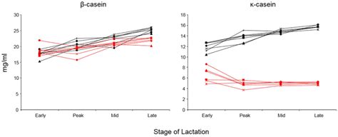 Concentration Of Total β Casein And κ Casein In Tg3 And Control Milk Download Scientific