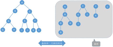 树的存储结构以及树和森林的遍历（c语言）树的三种存储结构及其优缺点 Csdn博客