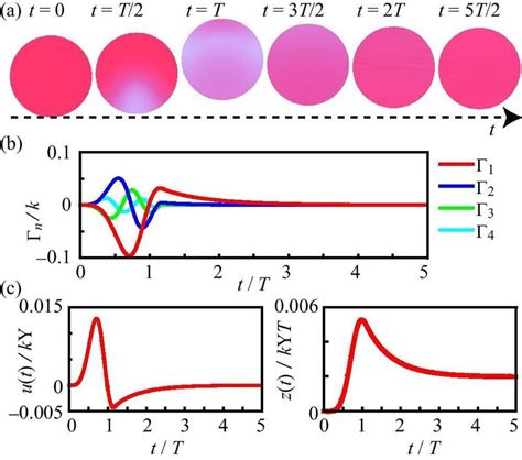 Numerical Calculations For A Single Pulse A Snapshots Of V And