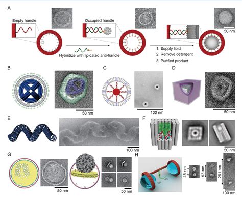 Figure 1 From Recent Advances In Dna Origami Engineered Nanomaterials And Applications