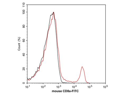 Fitc Conjugated Anti Mouse Cd8 Alpha Recombinant Antibody [psh05 00] Huabio