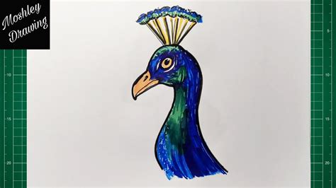 How To Draw A Peacock Head Youtube