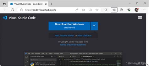 Vscode安装配置使用调试【保姆级教程】 Csdn博客