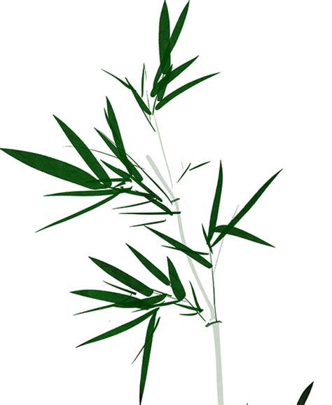 杂货铺｜千里之遥，滑启必达速滑王濛比赛