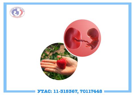 Жирэмсний долоо хоногууд Таны төлөө бид Эх барих эмэгтэйчүүдийн эмнэлэг