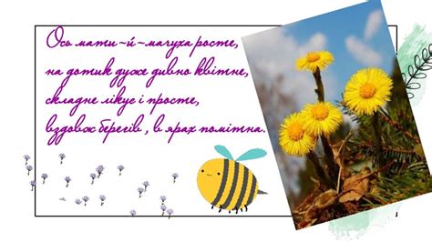 Первоцвіти перші вісники весни