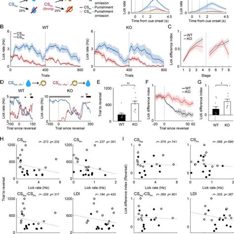 Reversal learning is impaired in juvenile male Shank2-KO mice. Results... | Download Scientific ...