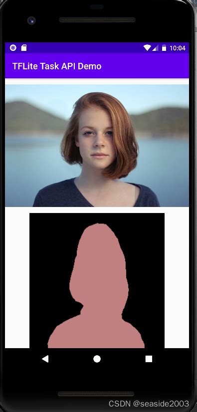 Tensorflow Lite Task Library 实战orgtensorflowtensorflow Lite Task Csdn博客