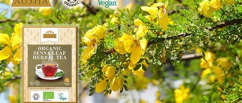 Ausha Organic Senna Tea Bags 40 Bags Laxative Tea For Constipation