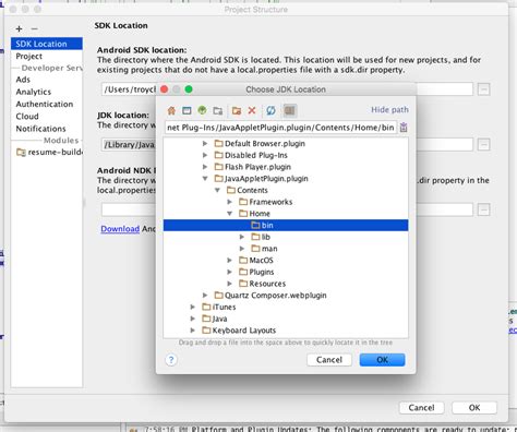 Cannot Point Android Studio To Java 18 Stack Overflow