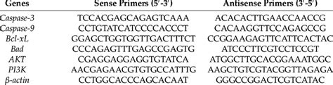 Primers Used In The Quantitative Real Time Polymerase Chain Reaction Assay Download
