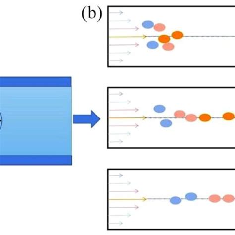 Laminar Velocity Distribution And Motion Path Of Nanoparticles Under Download Scientific
