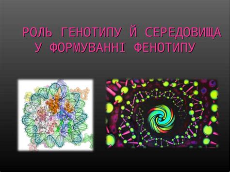 Роль генотипу й середовища у формуванні фенотипу презентація з біології