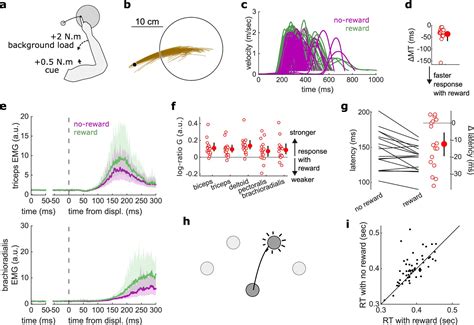 Figures And Data In Sensorimotor Feedback Loops Are Selectively