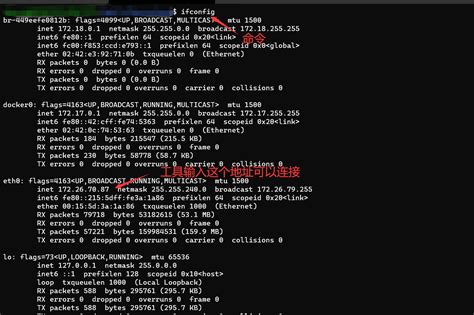 Wsl2 Docker Mysql重启之后无法连接问题 Cpythonlinuxjava 博客园