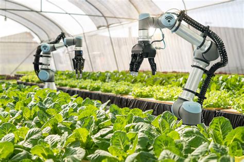 Weeding Farm Robot Market Is Set To Have An Advanced Development By